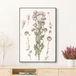 Bilderwelten Wechselbild Herbarium in rosa I