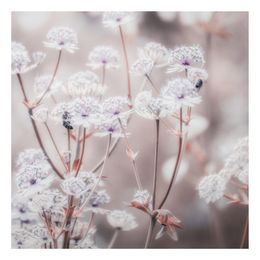 Bilderwelten Alu-Dibond Outdoor Bild Federleichte Wildblumen