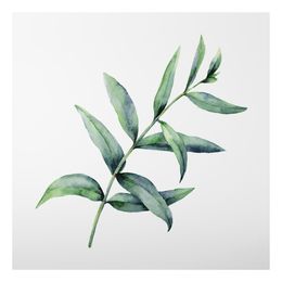 Bilderwelten Alu-Dibond Outdoor Bild Aquarell Eucalyptus I