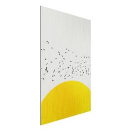 Bilderwelten Alu Dibond Outdoor Bild Natur gelb modern wetterfest - Vogelschwarm vor gelber Sonne - Sonnenuntergang Wohnzimmer Schlafzimmer