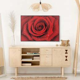 Bilderwelten Wechselbild Rote Rose mit Wassertropfen