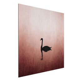 Bilderwelten Alu-Dibond Outdoor Bild Schwan im Sonnenuntergang