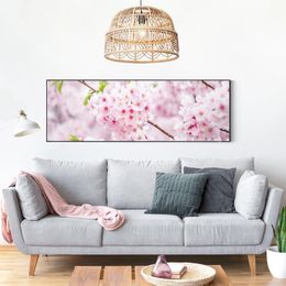 Bilderwelten Wechselbild Japanische Kirschbl&uuml;ten