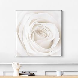 Bilderwelten Wechselbild Pretty White Rose