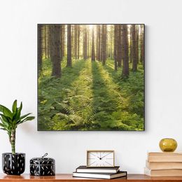 Bilderwelten Wechselbild Sonnenstrahlen in gr&uuml;nem Wald