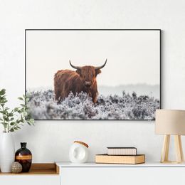 Bilderwelten Wechselbild Bison in den Highlands
