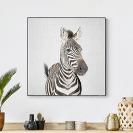 Bilderwelten Wechselbild Zebra Zilla