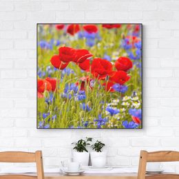 Bilderwelten Wechselbild Sommerwiese mit Mohn und Kornblumen