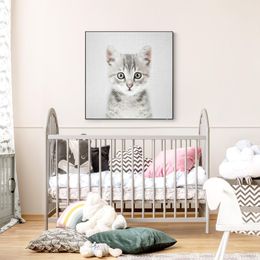 Bilderwelten Wechselbild Baby Katze Killi