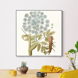 Bilderwelten Wechselbild Wildkr&auml;uter Schautafel III