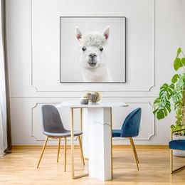 Bilderwelten Wechselbild Lama Lars