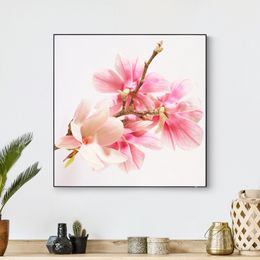 Bilderwelten Wechselbild Magnolienbl&uuml;ten