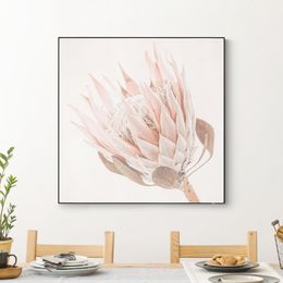 Bilderwelten Wechselbild Protea K&ouml;nigin der Bl&uuml;ten
