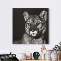 Bilderwelten Wechselbild Puma vor Schwarz