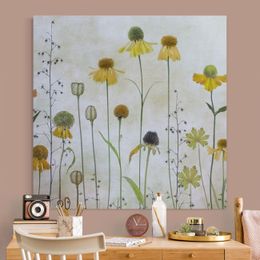 Akustikbild Zarte Helenium Bl&uuml;ten