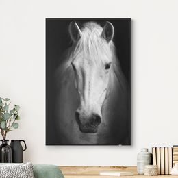 Bilderwelten Wechselbild Dream of a Horse