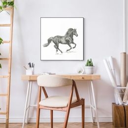 Bilderwelten Wechselbild Wildpferd-Studie - Hengst