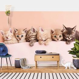 Bilderwelten Fototapete Tiere Motiv Wandtapete rosa - Sugar-Sweet - Katze Kinderzimmer Baby M&auml;dchen Jungen