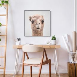 Bilderwelten Wechselbild Kamel Konrad