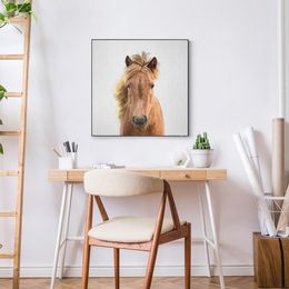 Bilderwelten Wechselbild Pferd Pauline