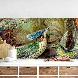 Bilderwelten K&uuml;chenr&uuml;ckwand selbstklebend bunt Tiere Vintage - Vintage Lehrtafel Kolibris - Retro Spritzschutz nach Ma&szlig;