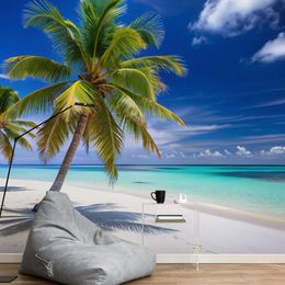 Bilderwelten Tapete - Fototapete Strand - Traumstrand - Wandtapete Schlafzimmer Wohnzimmer modern - auch kleisterfrei