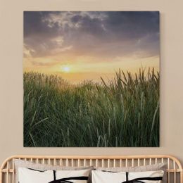 Akustikbild Langeoog Graslandschaft bei Sonnenuntergang