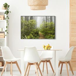 Bilderwelten Wechselbild Nebliger Waldpfad