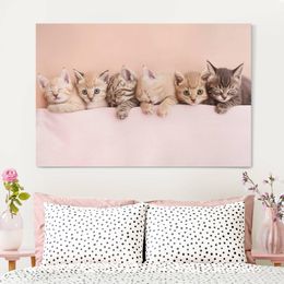Bilderwelten Leinwandbild Sugar-Sweet - Wandbild bis XXL Print Tiere Kinder Kinderzimmer Jungen Jungenzimmer M&auml;dchen M&auml;dchenzimmer Baby Babyzimmer