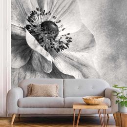 Bilderwelten Fototapete Bl&uuml;te in T&uuml;rkis Schwarz-Wei&szlig; Landhaus,Botanik Blume Wohnzimmer,Schlafzimmer Vliestapete inkl. Kleister oder selbstklebend