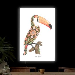LED-Wechselbild Boho Vogel - Tukan