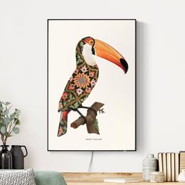 Bilderwelten LED-Wechselbild Boho Vogel - Tukan