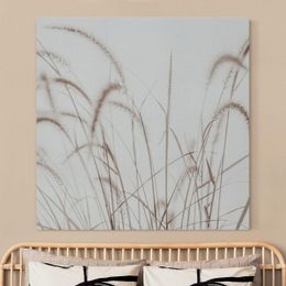 Akustikbild Elegante Gr&auml;ser