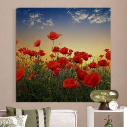 Akustikbild Mohnblumenfeld im Sonnenuntergang
