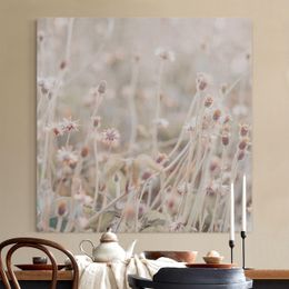 Akustikbild Strahlende Blumenwiese