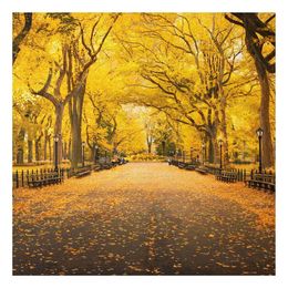 Bilderwelten Alu-Dibond Outdoor Bild Herbst im Central Park