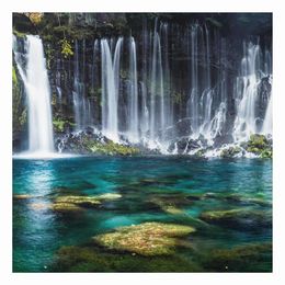 Bilderwelten Alu-Dibond Outdoor Bild Shiraito Wasserfall