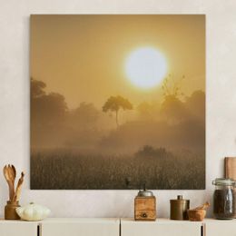 Akustikbild Kenia Savannenlandschaft im Morgennebel