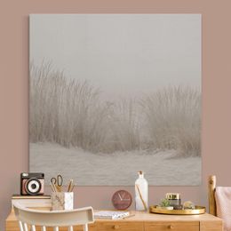 Akustikbild D&uuml;nengras in Beige