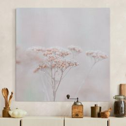 Akustikbild Zartrosane Wildblumen