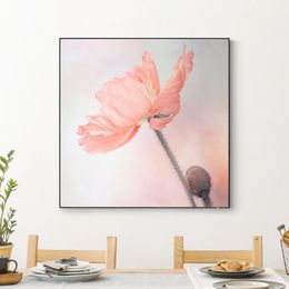 Bilderwelten Wechselbild Mohnblumen Close-Up