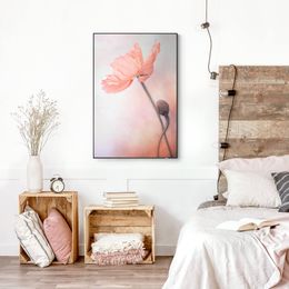 Bilderwelten Wechselbild Mohnblumen Close-Up