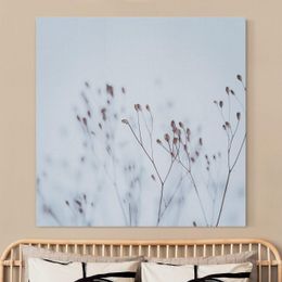 Akustikbild Zartblaue Wildblumen