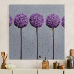 Akustikbild Allium Kugel-Bl&uuml;ten