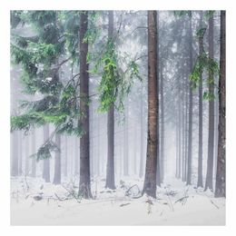 Bilderwelten Alu-Dibond Outdoor Bild Nadelb&auml;ume im Winter