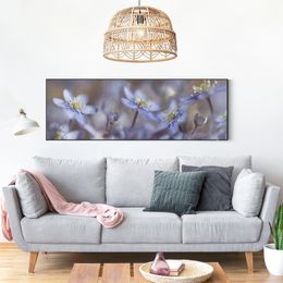 Bilderwelten Wechselbild Anemonen in Blau