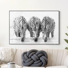 Bilderwelten Wechselbild Zebra Trio schwarz-wei&szlig;