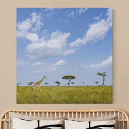 Akustikbild Kenia Giraffe in Savannenlandschaft