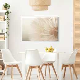 Bilderwelten Wechselbild Weiche Pusteblume