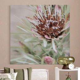 Akustikbild Trockenblume in Rosa und Gr&uuml;n